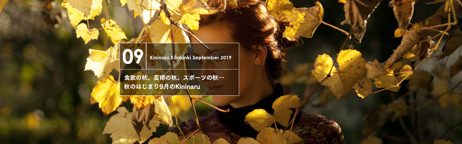 北近畿情報メディアサイト「kininaru（キニナル）」